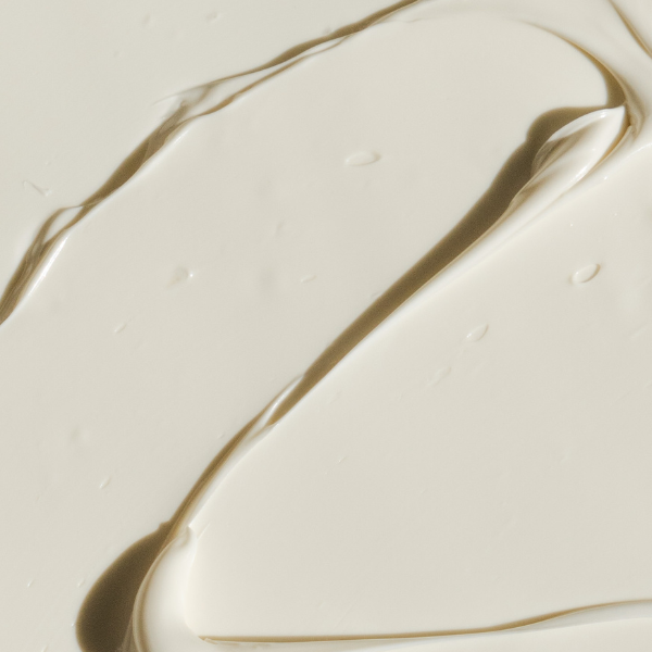 Rose Day Cream: Daily face cream with rose | Dr. Hauschka